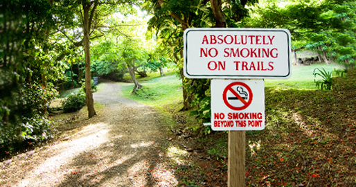Smokefree Environments | American Lung Association