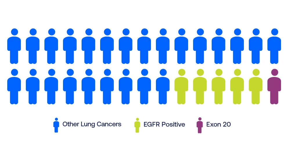 Egfr Exon 20 Insertion Mutation And Lung Cancer American Lung Association
