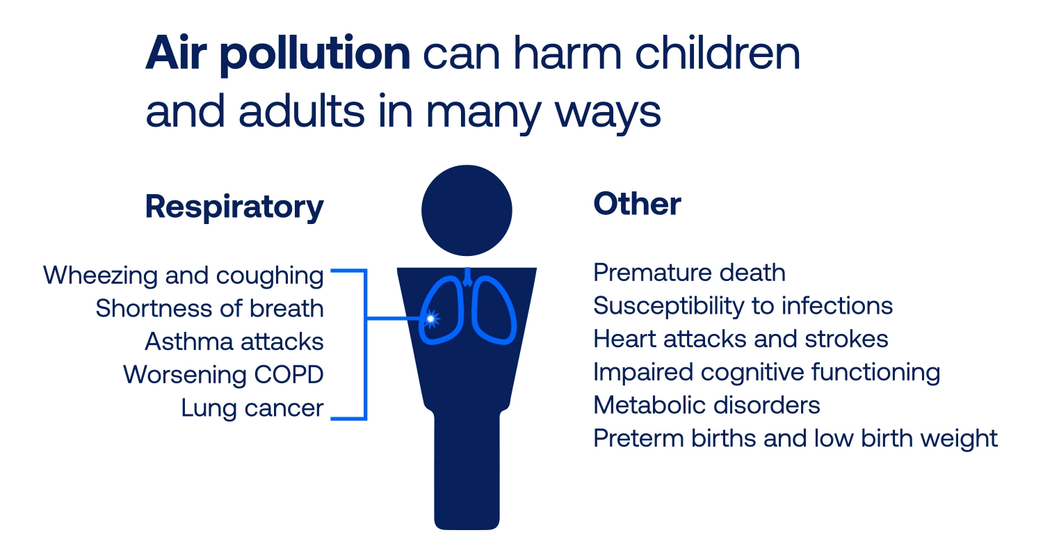 Health Impact of Pollution | State of the Air | American Lung Association