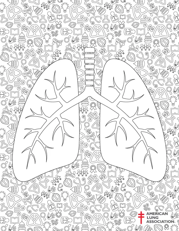 Human Lungs Coloring Pages