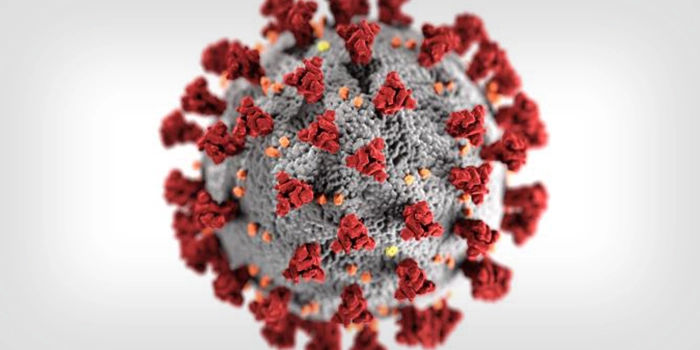 Coronavirus (CoV) | American Lung Association